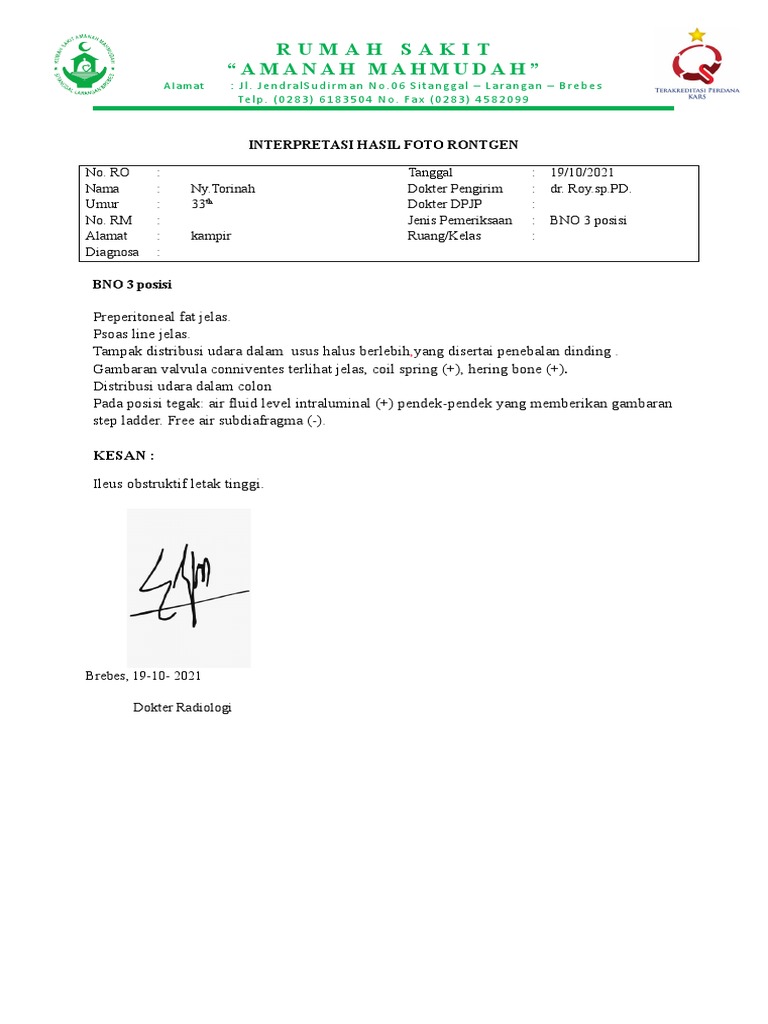 BNO Ileus Obstruktif Letak Tinggi | PDF
