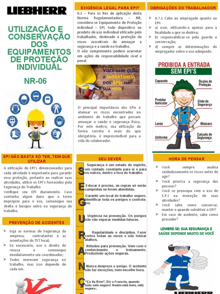 CARTILHA NR 06 | PDF