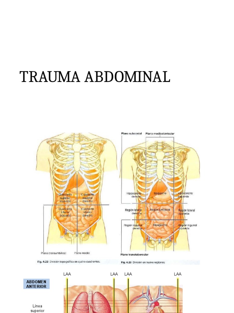 Trauma Abdominal Revision | PDF | Abdomen | Lesión