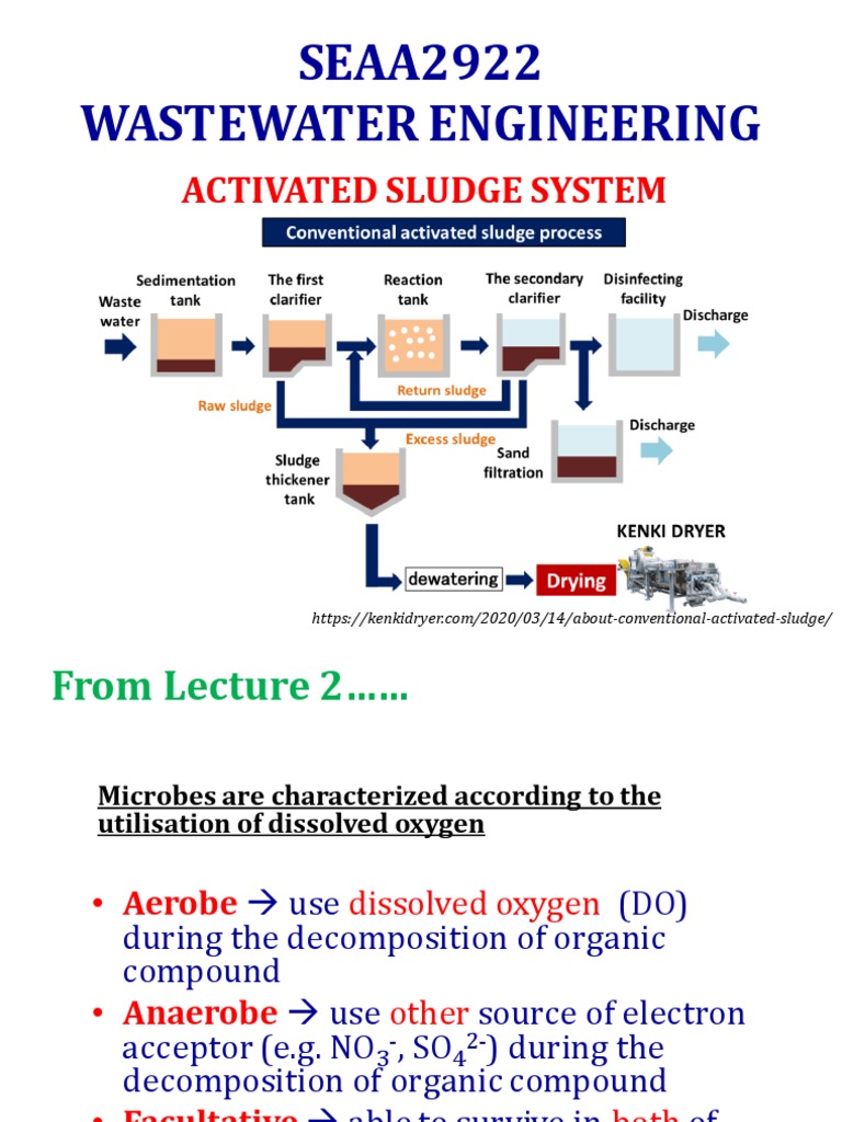 L6 Activated Sludge System | PDF | Sewage Treatment | Environmental Science
