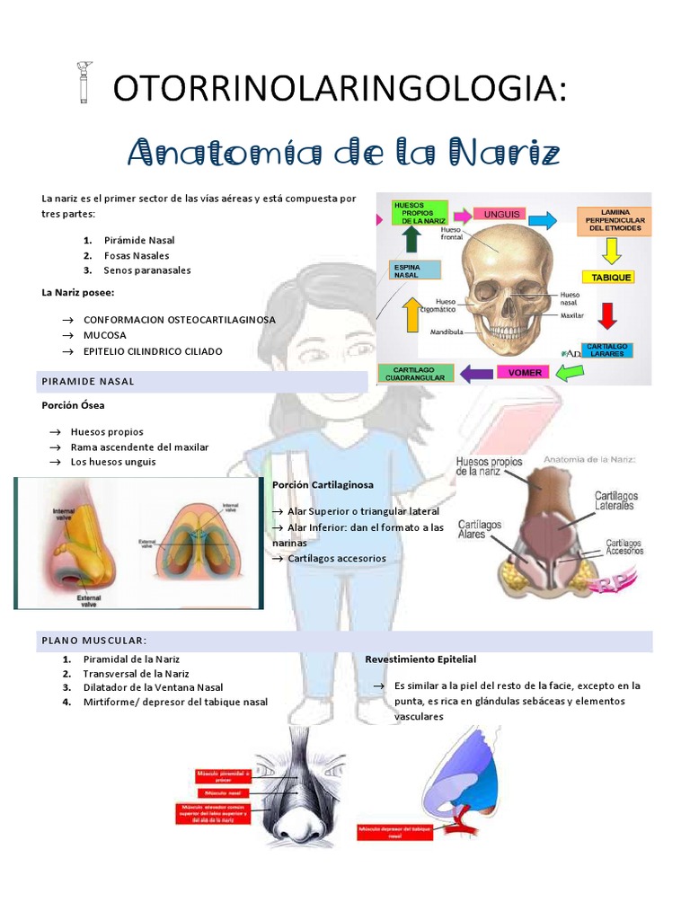 Otorrino Completo | PDF | Nariz humana | Alergia