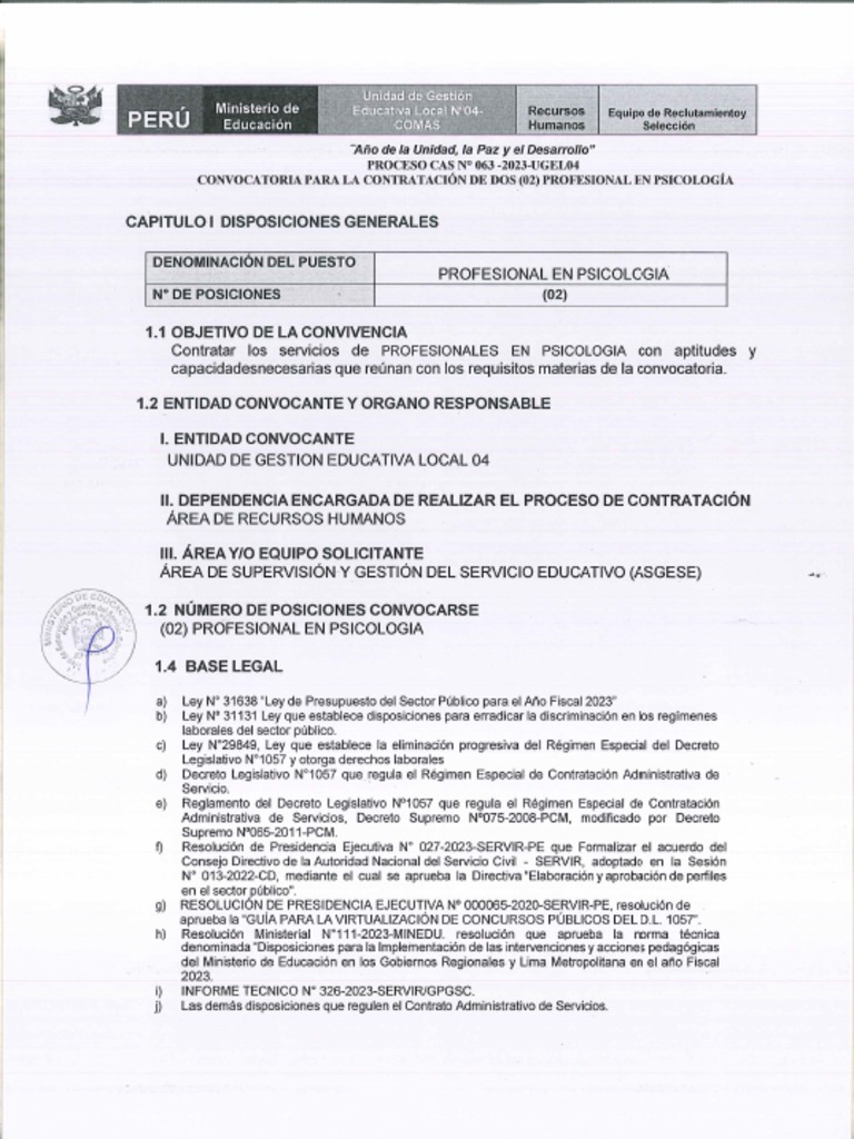 TDR Cas N°063 - Profesional en Psicologia - 2 Plazas | PDF