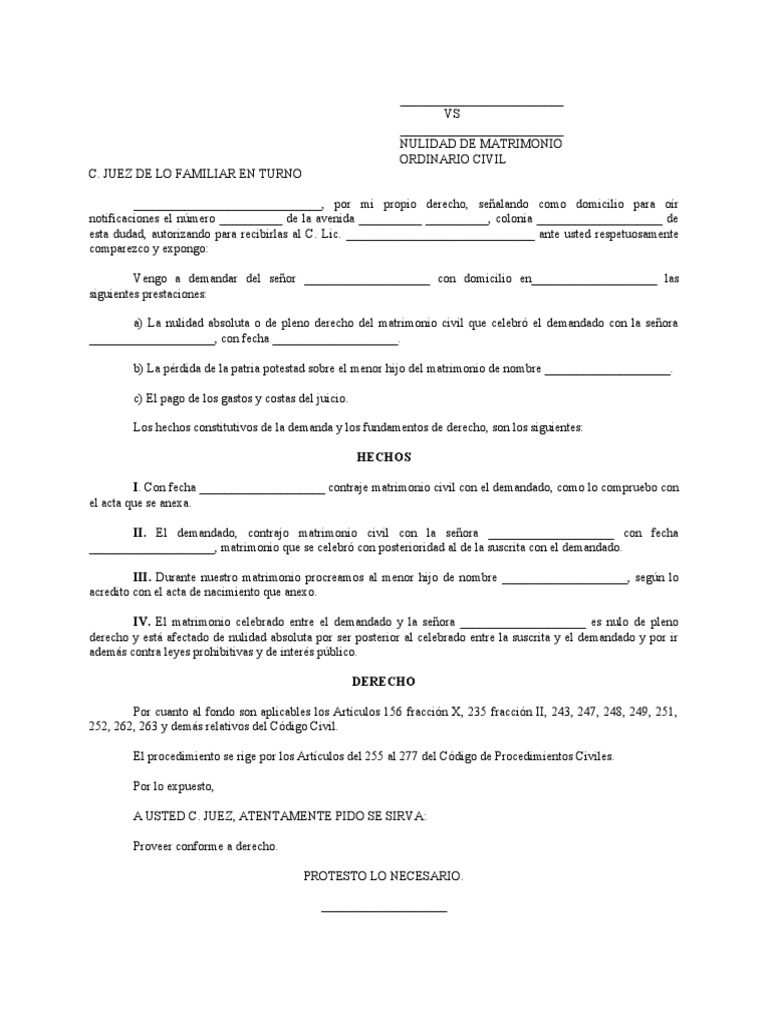 Modelo para Demanda de Nulidad de Matrimonio (Ordinario Civil Nulidad ...