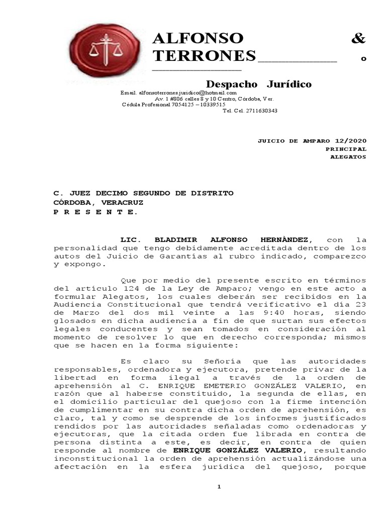 Escrito de Alegatos | PDF | Justicia | Crimen y violencia