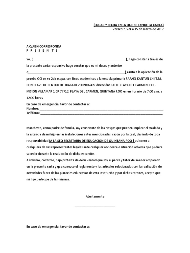 Formato Carta Responsiva Escolar | PDF | Derecho