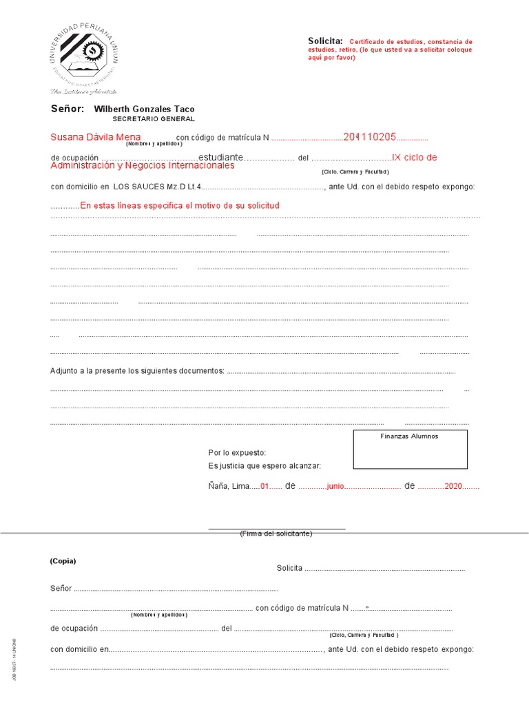 Modelo de Solicitud | PDF