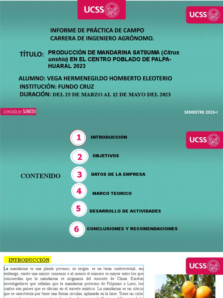 de Practica de Campo | PDF | Agrios | Agricultura