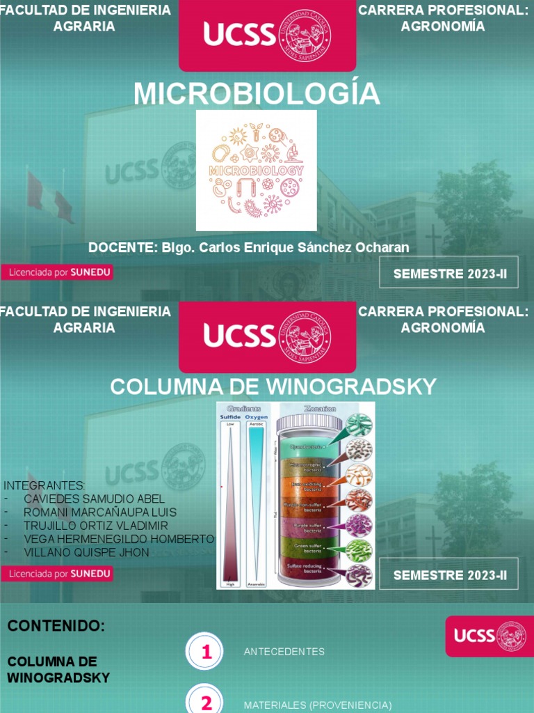 Columna de Winogradsky | PDF | Las bacterias | Color
