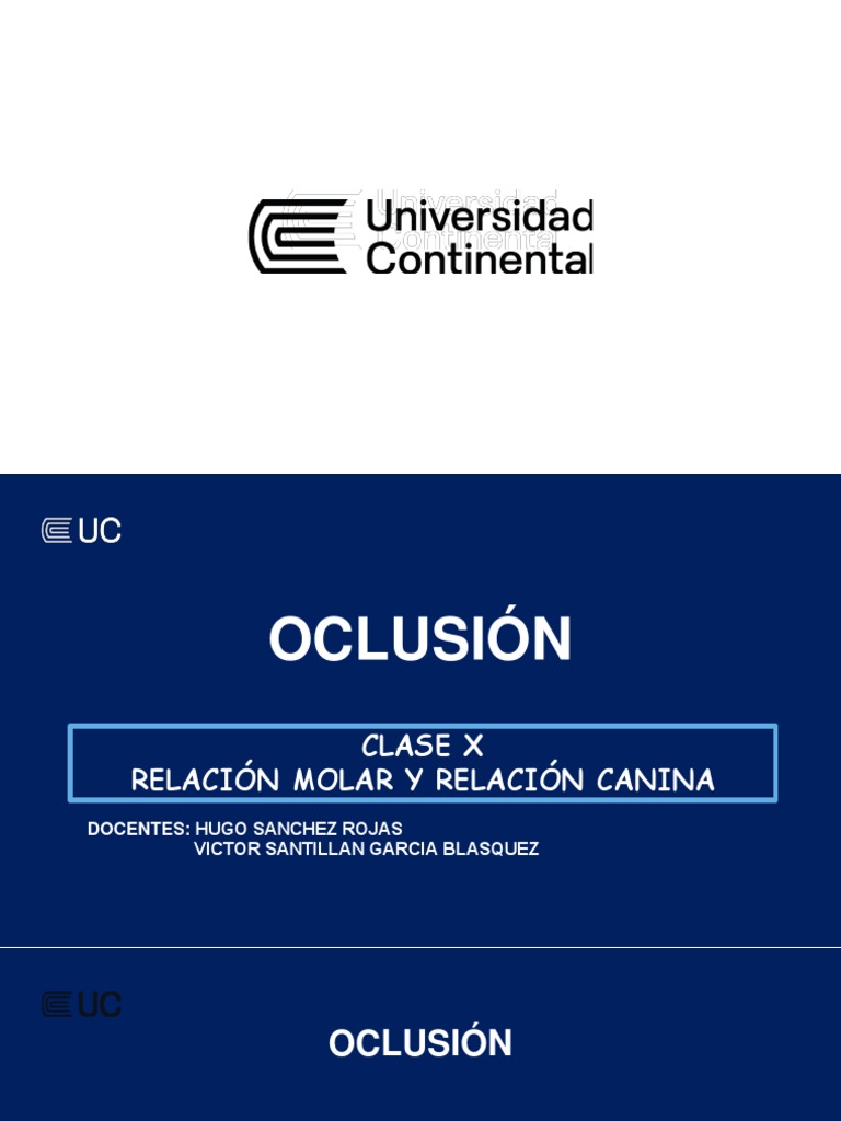 Relaciones Molares y Caninas en Oclusión | PDF | Estudios de idiomas ...
