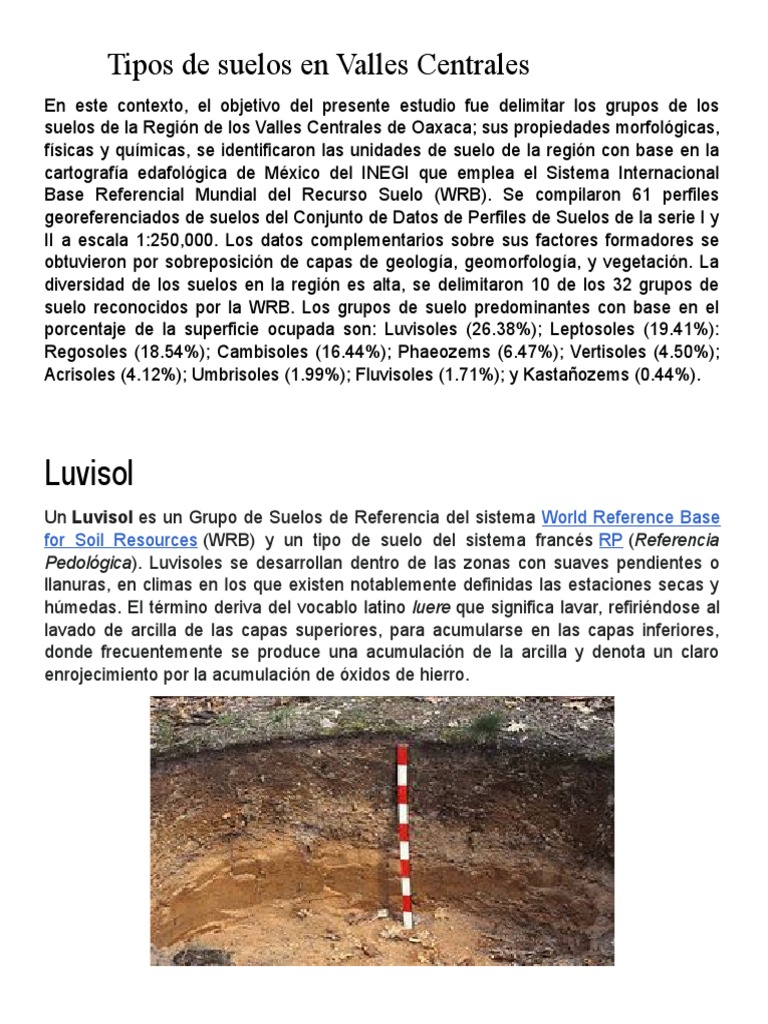 Tipos de Suelos en Valles Centrales | PDF | Ciencias de la Tierra | Naturaleza