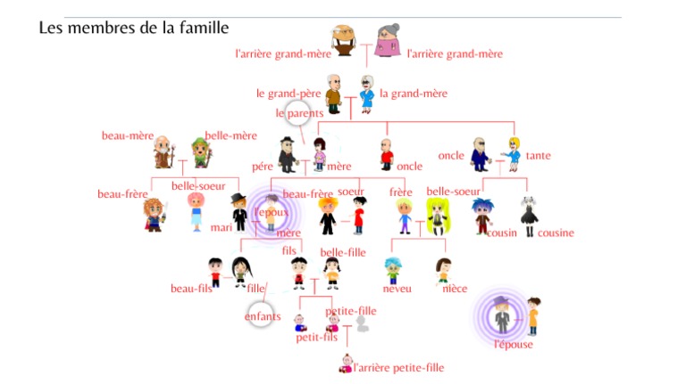 Les membres de la famille en français | PDF