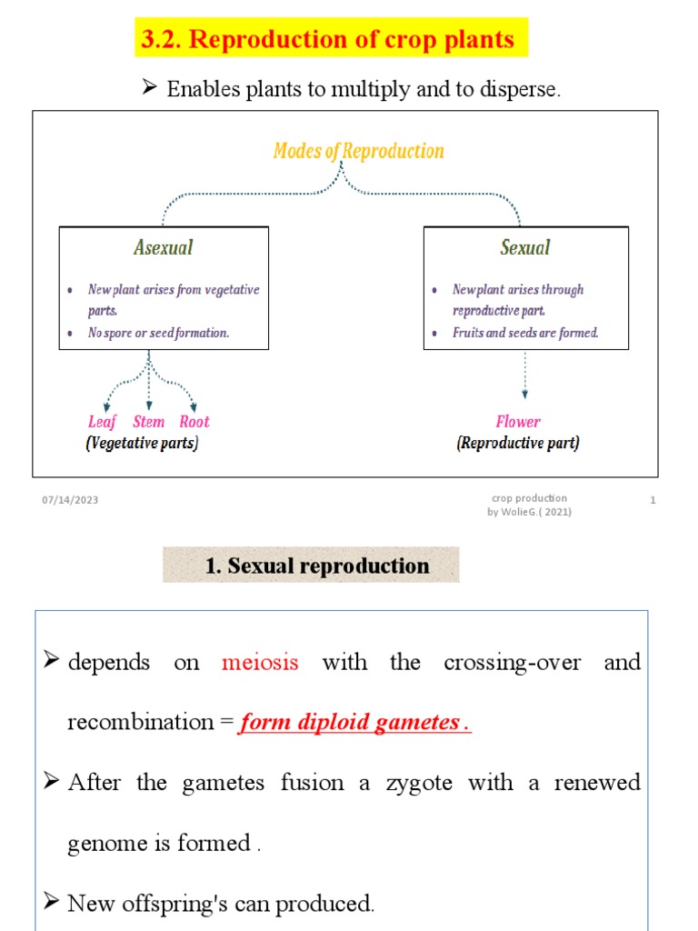 Lecture 3 Plant Reproduction Biology | PDF | Flowers | Reproduction