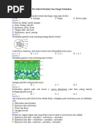 Soal Latihan Telling Time Kelas 7 | PDF | Karier & Perkembangan | Seni ...