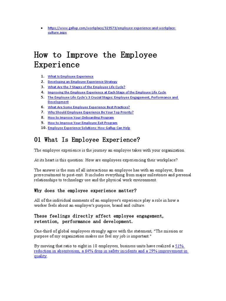 Employee Experience Strategy Guide | PDF | Employment | Organizational ...