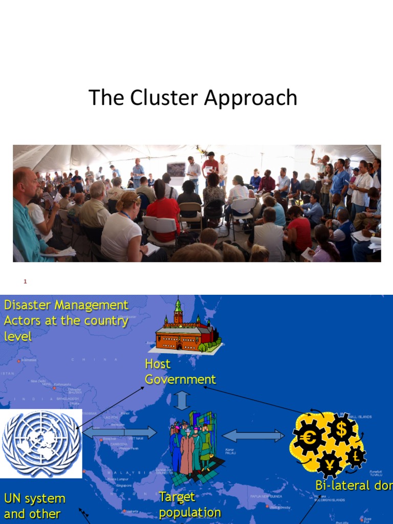 Chapter5 Cluster-Approach | PDF | Internally Displaced Person | Humanitarian Aid