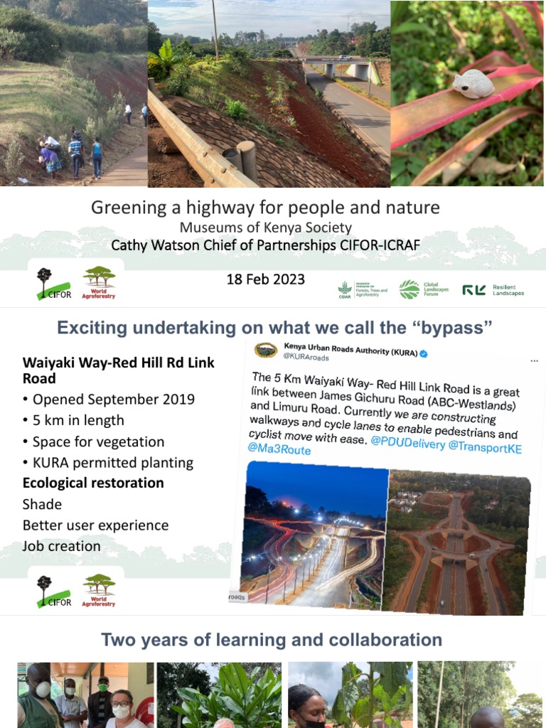 Urban Forestry Greening A Highway In Nairobi For People And Nature