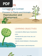 Flower | PDF | Plant Reproduction | Flowers