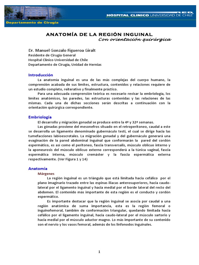 Anatomía de La Región Inguinal | PDF | Abdomen | Sistema musculoesquelético