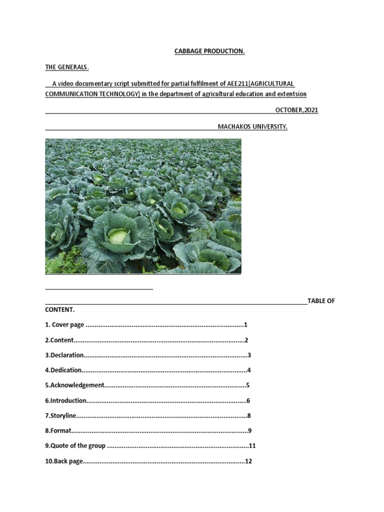 Aee 211 Group 1 Assignment | PDF | Plant Nursery | Cabbage
