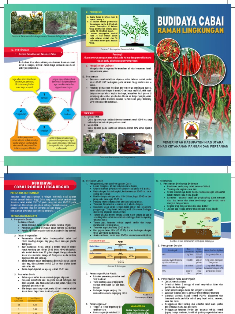 Leaflet Cabe | PDF