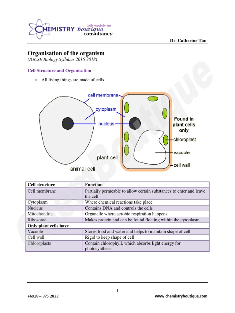 2 Organisation of The Organism | PDF | Cell (Biology) | Tissue (Biology)