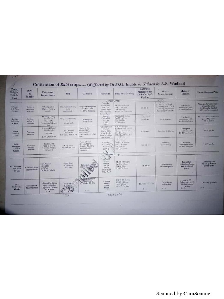 CamScanner User Guide | PDF