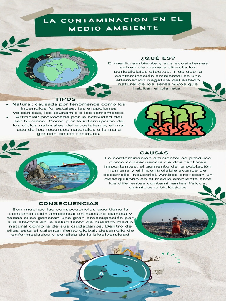 Infografía Contaminacion Del Medio Ambiente | PDF