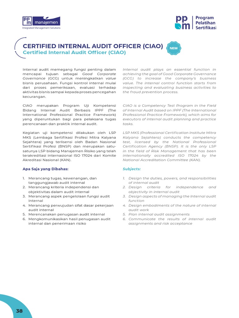 Certified Internal Audit Officer (Ciao) | PDF | Internal Audit ...