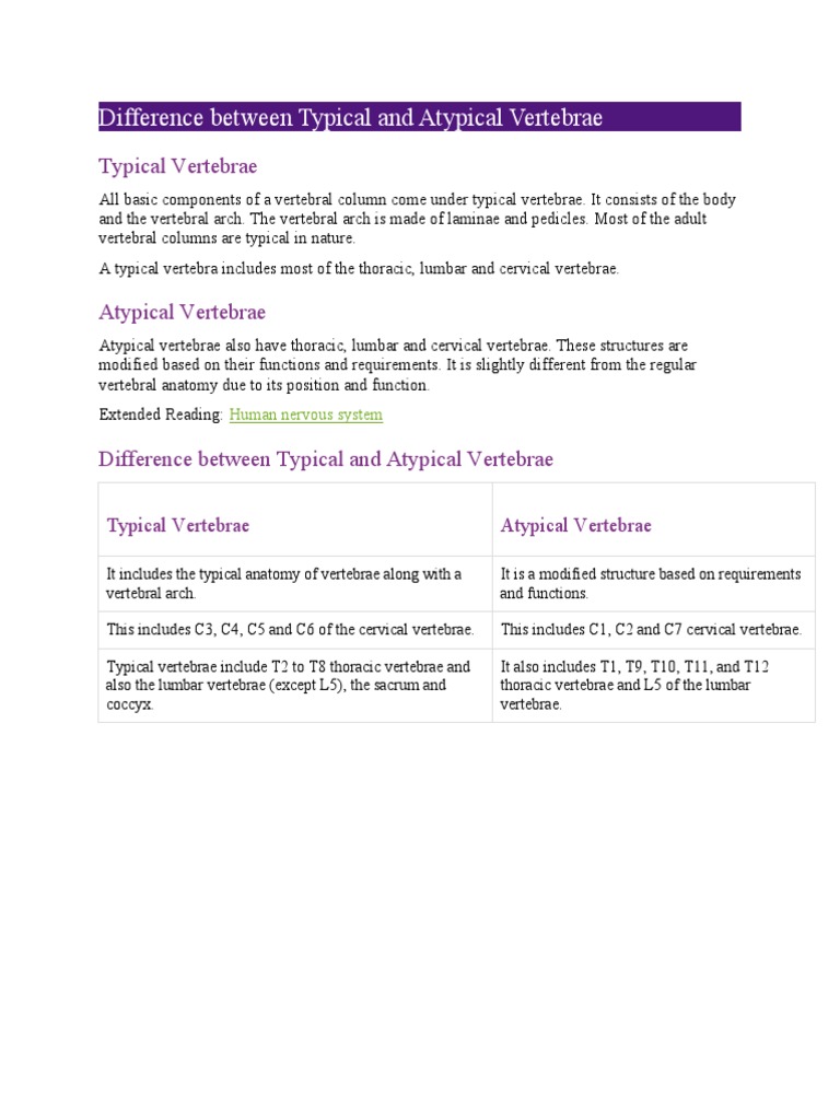 Difference Between Typical and Atypical Vertebrae | PDF
