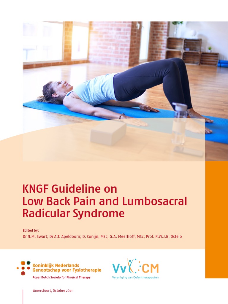 KNGF Guide On Low Back Pain Practice Guideline | PDF | Physical Therapy ...