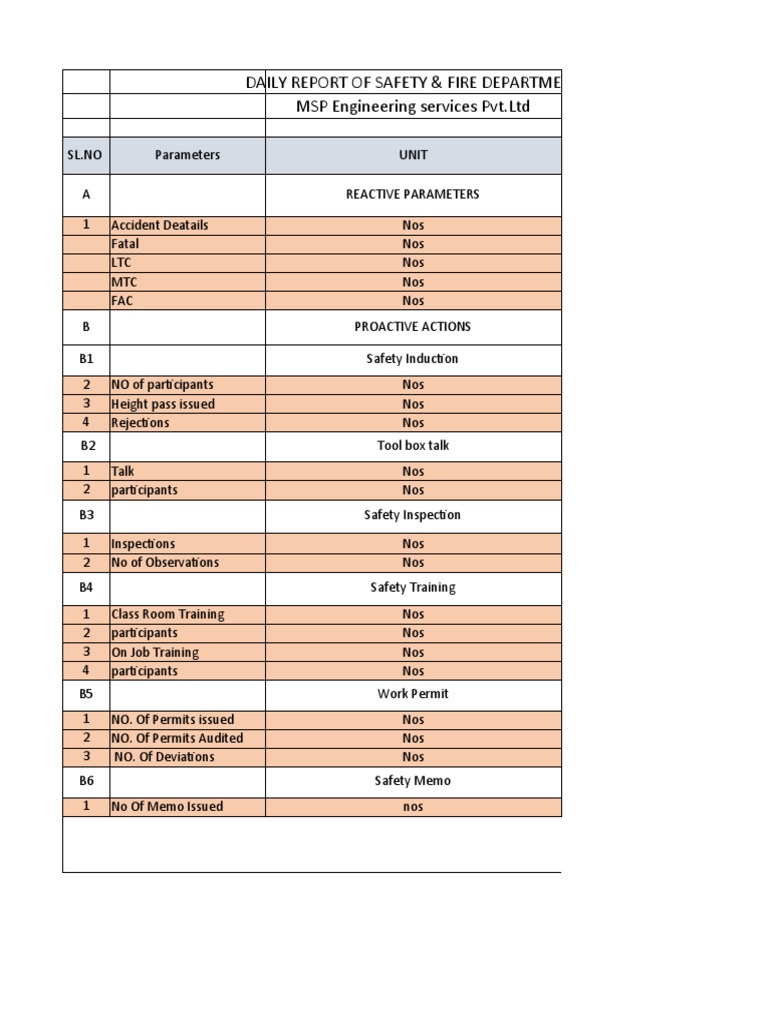 Daily OHS Report | PDF