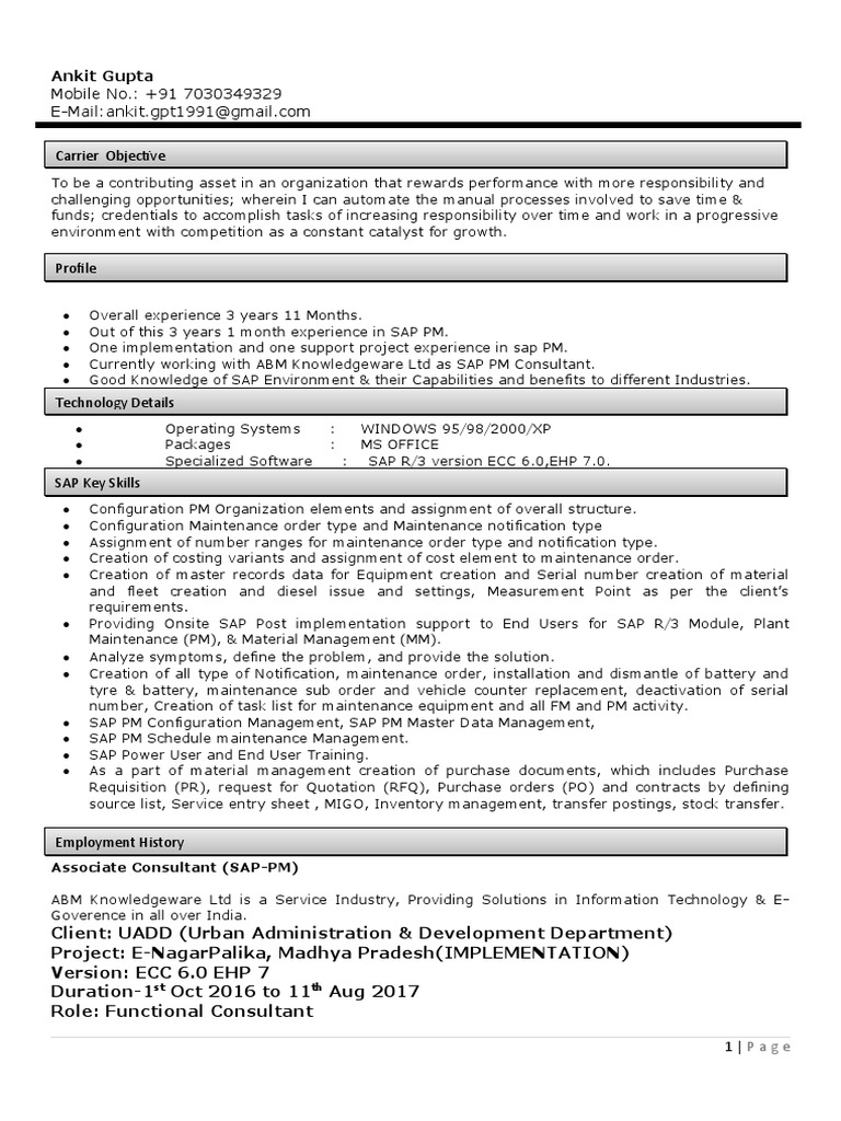 Ankit Gupta SAP PM | PDF | Automation | Computing