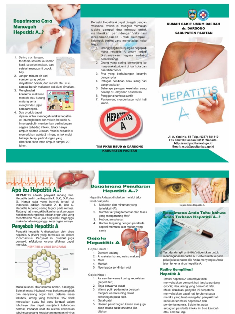 Hepatitis A | PDF