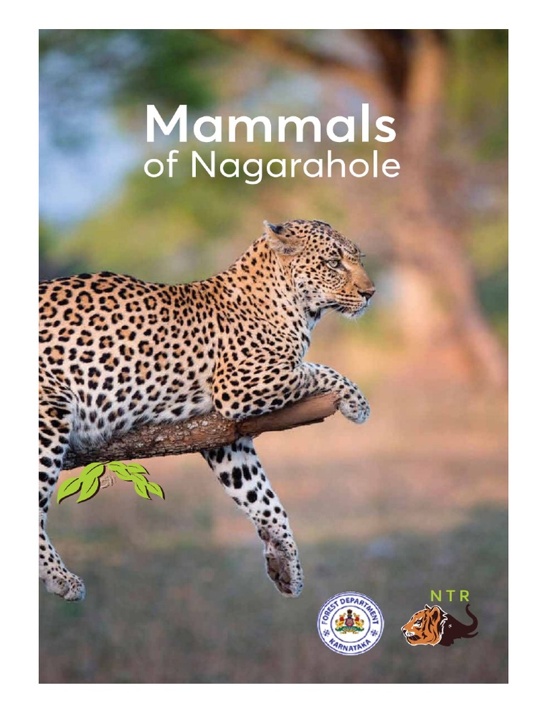 Mammals Brochure | PDF