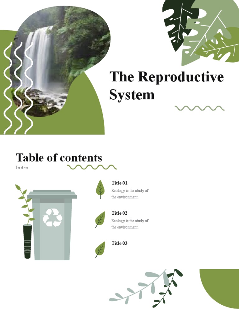 Saevy Presentation Template Green Variant | PDF | Ecology | Nature