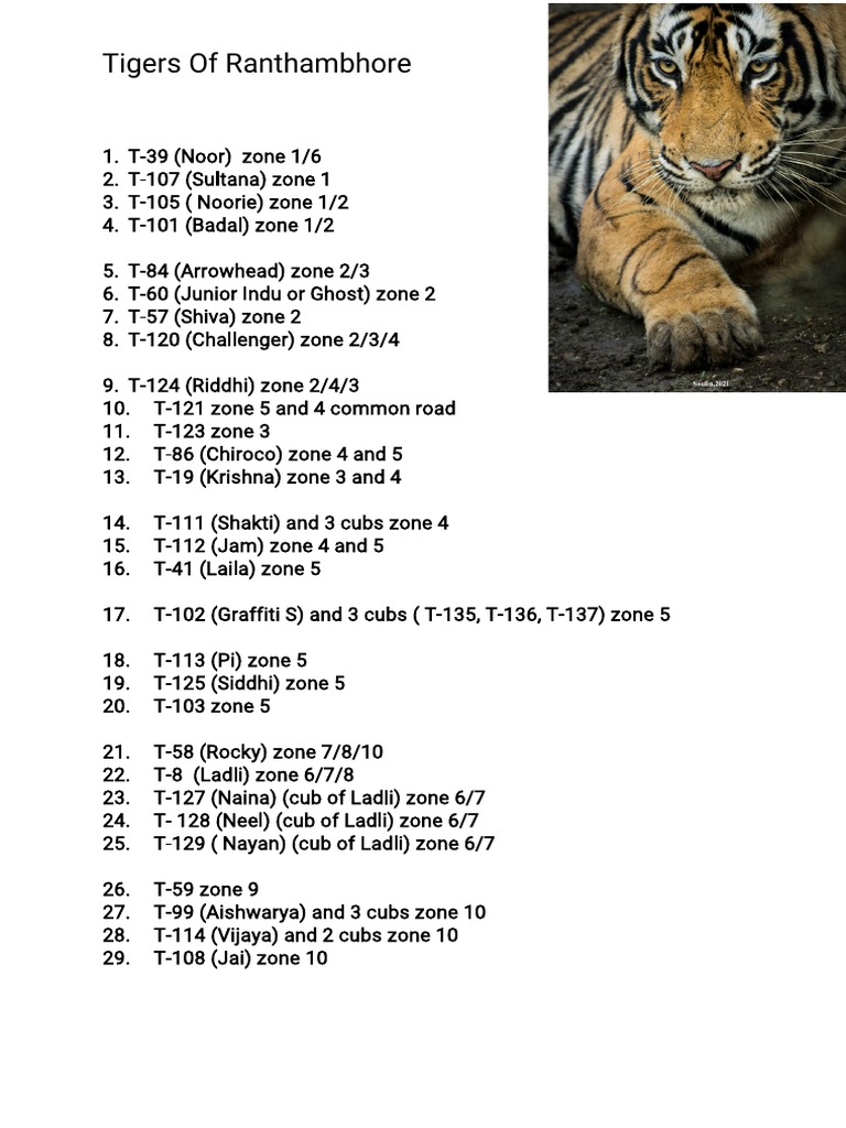 Tiger Lists | PDF | History