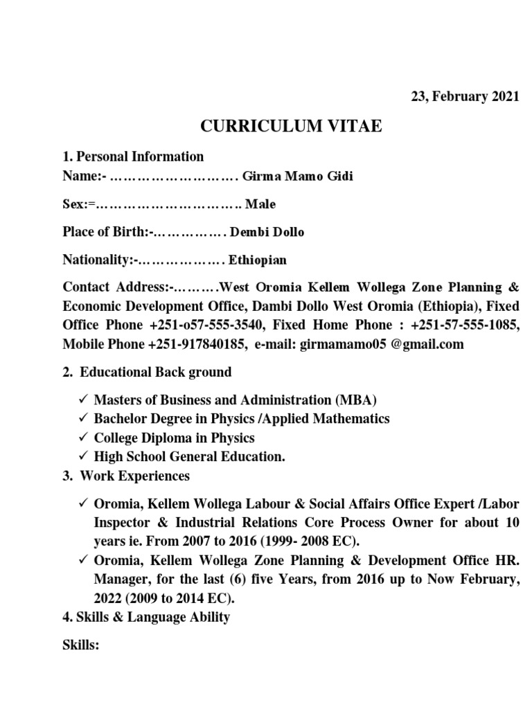 Girma Mamo CV 2022 | PDF