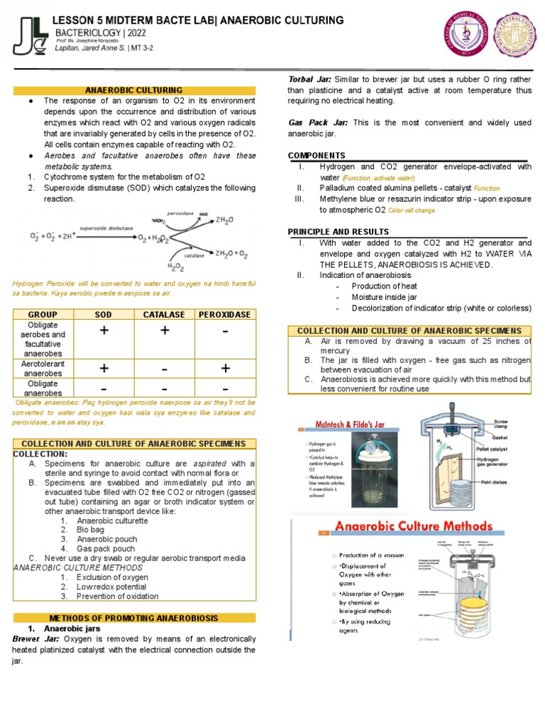 #5 Midterm Bacte Lab - Anaerobic Culturing | PDF | Catalysis ... #5 Midterm Bacte Lab - Anaerobic Culturing | PDF | Catalysis ...