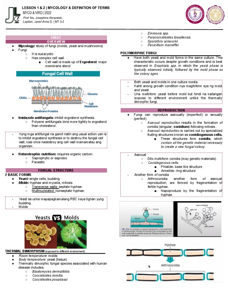 #1 &2 Myco & Viro + Definition of Terms | PDF | Fungus | Mold