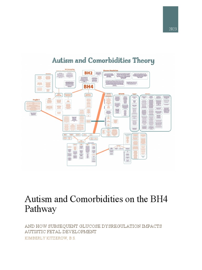 Updated ASD and Comorbidities | Download Free PDF | Nitric Oxide ...