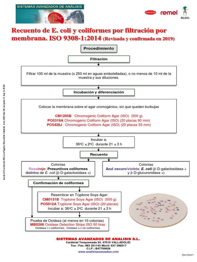Aguas - E Coli Coliformes UNE-EN ISO 9308-1-2014 | PDF | Microorganismo ...