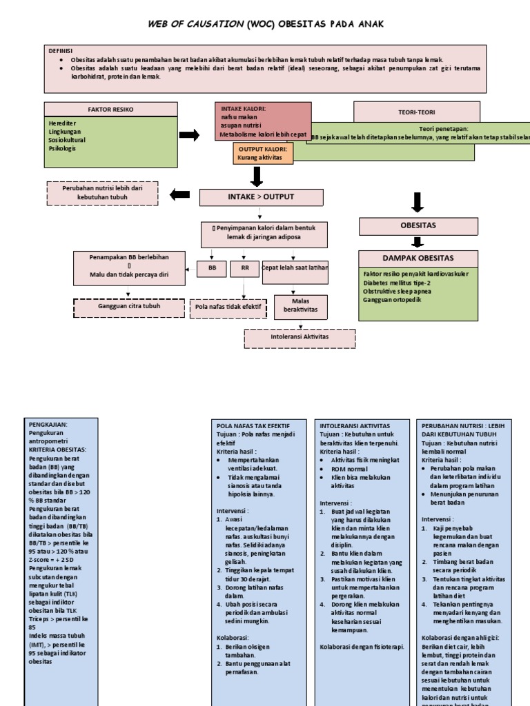 WOC - Obesitas - Pada - Anak (Kel 9) | PDF