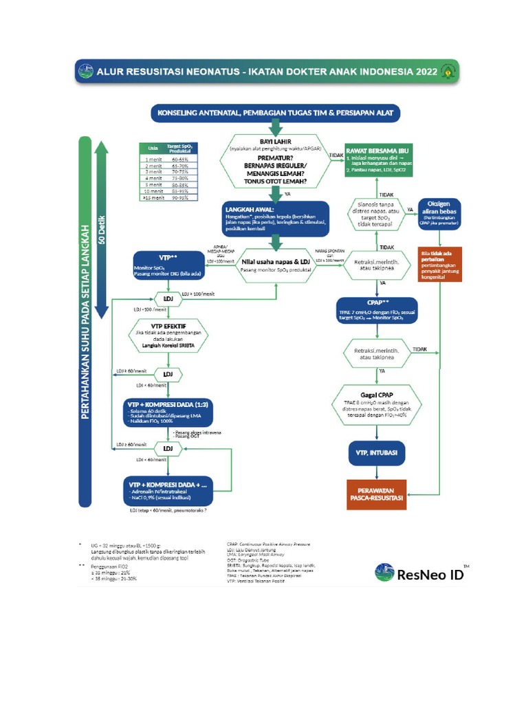 Alur Resusitasi Neonatus Terbaru 2022 Idai | PDF