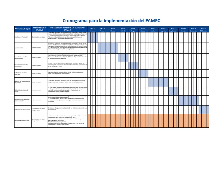 Cronograma de Implementación del PAMEC | PDF | Evaluación