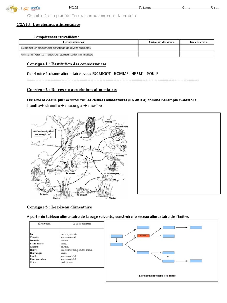 Exercices sur la chaîne alimentaire CM2 | PDF | Réseau trophique ...