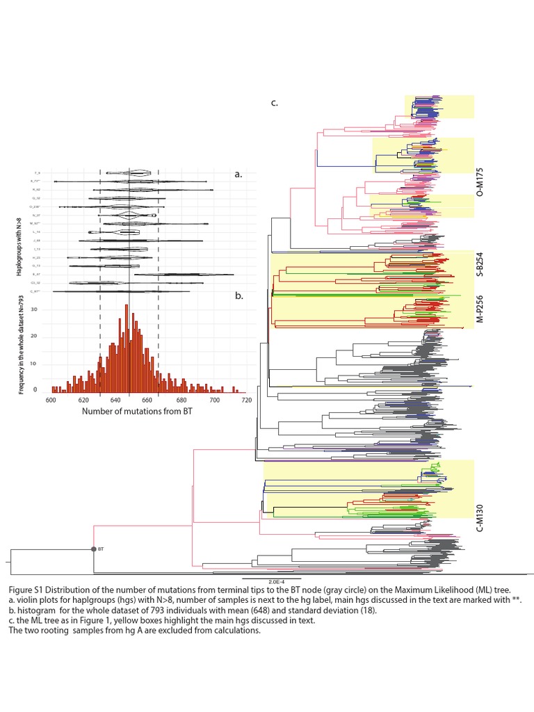 MBE-21-1195 Karmin Supplemental Figures S1-S4 | PDF | New Guinea ...