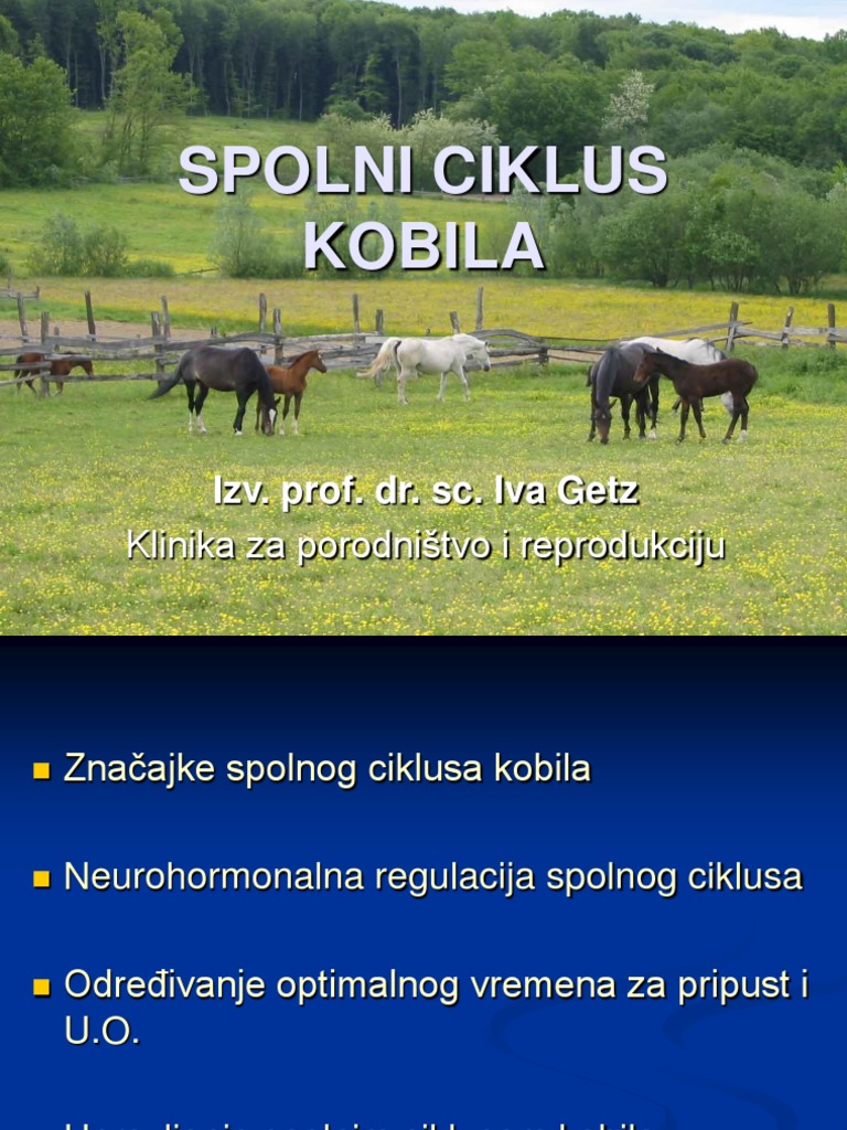 5. Spolni Ciklus Kobila | PDF