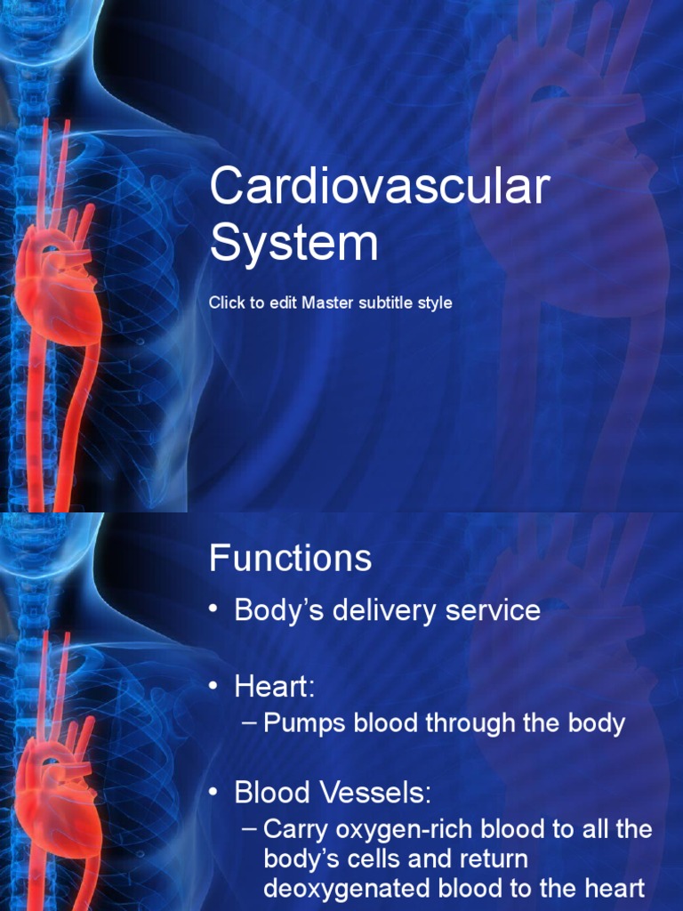 Cardiovascular System Notes | PDF | Heart | Circulatory System
