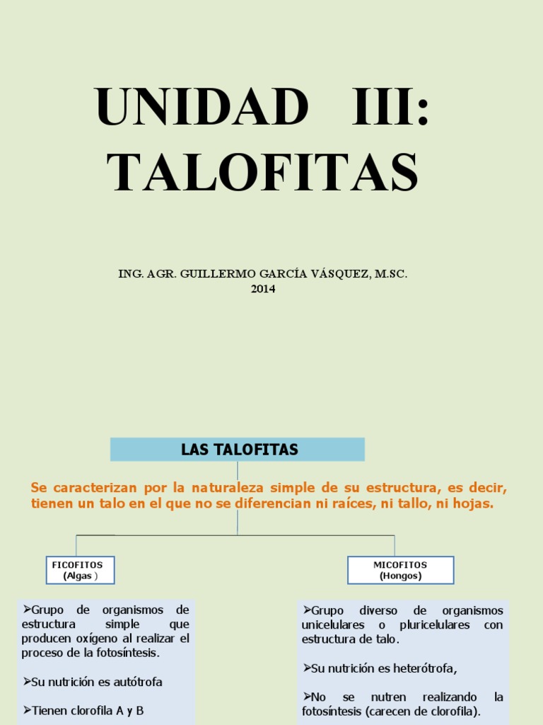 Características de las Talofitas | PDF | Algas | Cianobacterias