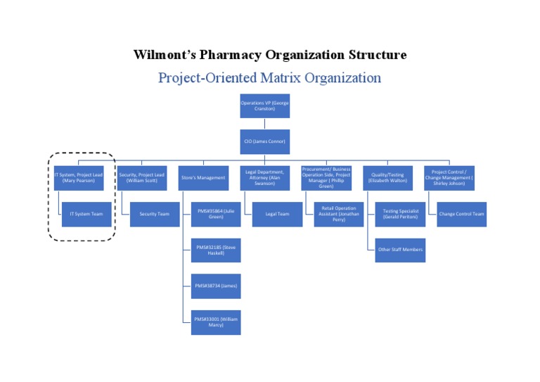 Wilmont Organization Structure-Wilmont's Pharmacy | PDF
